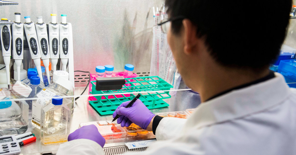 NIH Cuts Could Stall Medical Progress