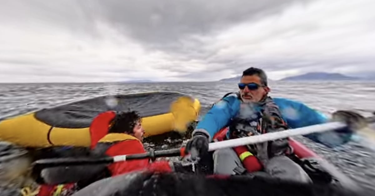 Whale Briefly Swallows Kayaker And It's Captured On Camera