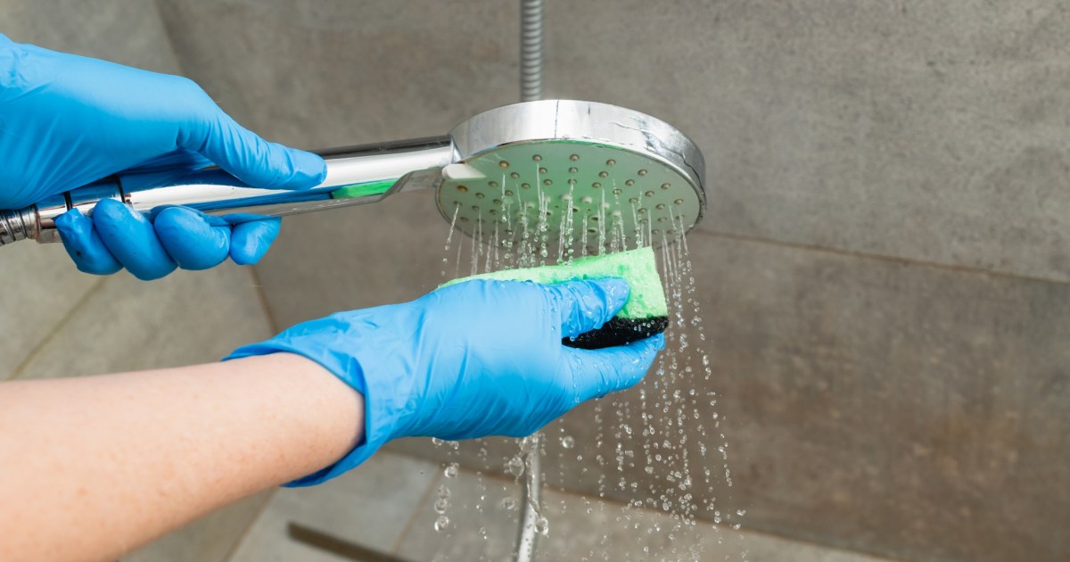 How do you clean a showerhead? Experts explain