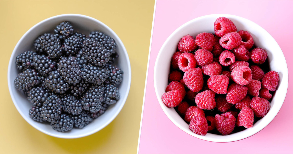 Raspberries Vs. Blackberries: Dietitians Reveal Which Has More Fiber ...