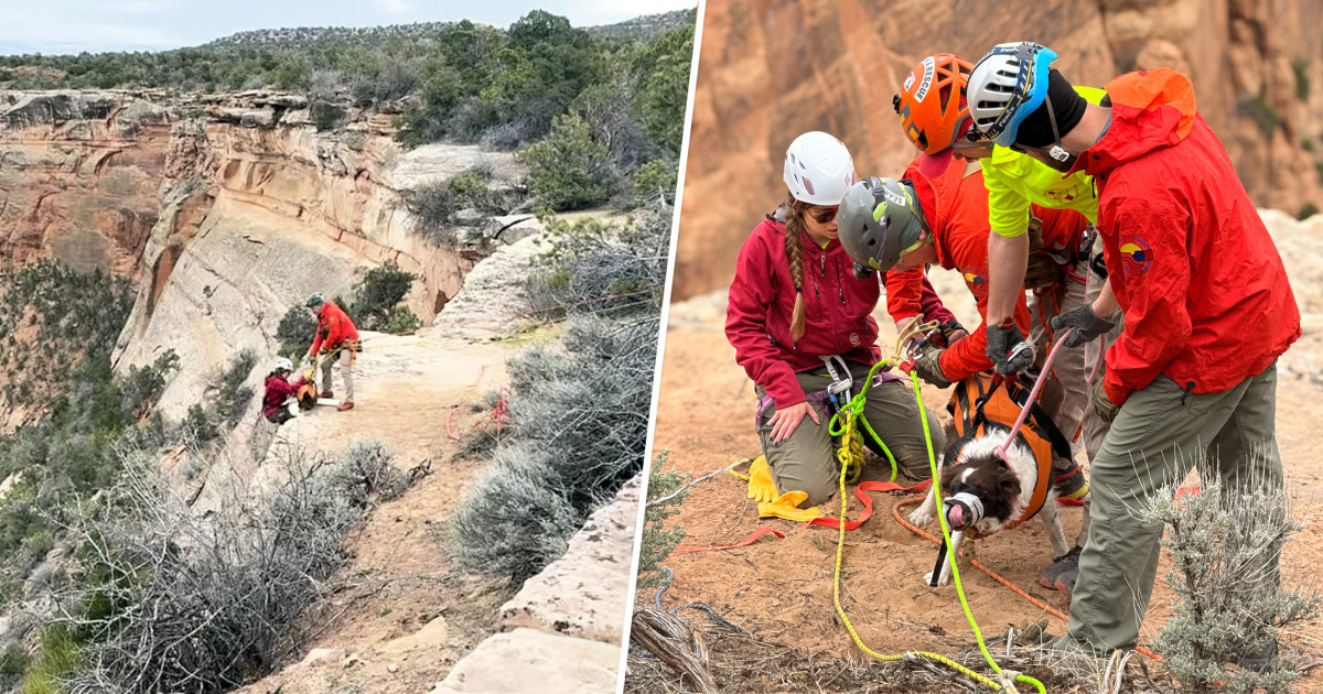 EXCLUSIVE: Inside Rescue Of Dog Off Colorado Ledge