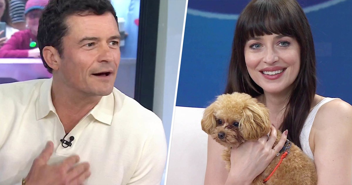 Orlando Bloom’s Dog Appears on TODAY With 'Babysitter' Dakota Johnson
