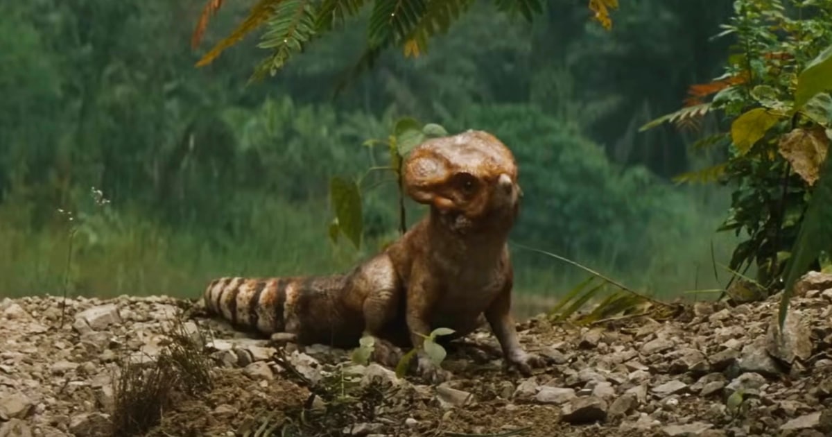 Meet Dolores, Baby Dinosaur and Star of 'Jurassic World Rebirth'
