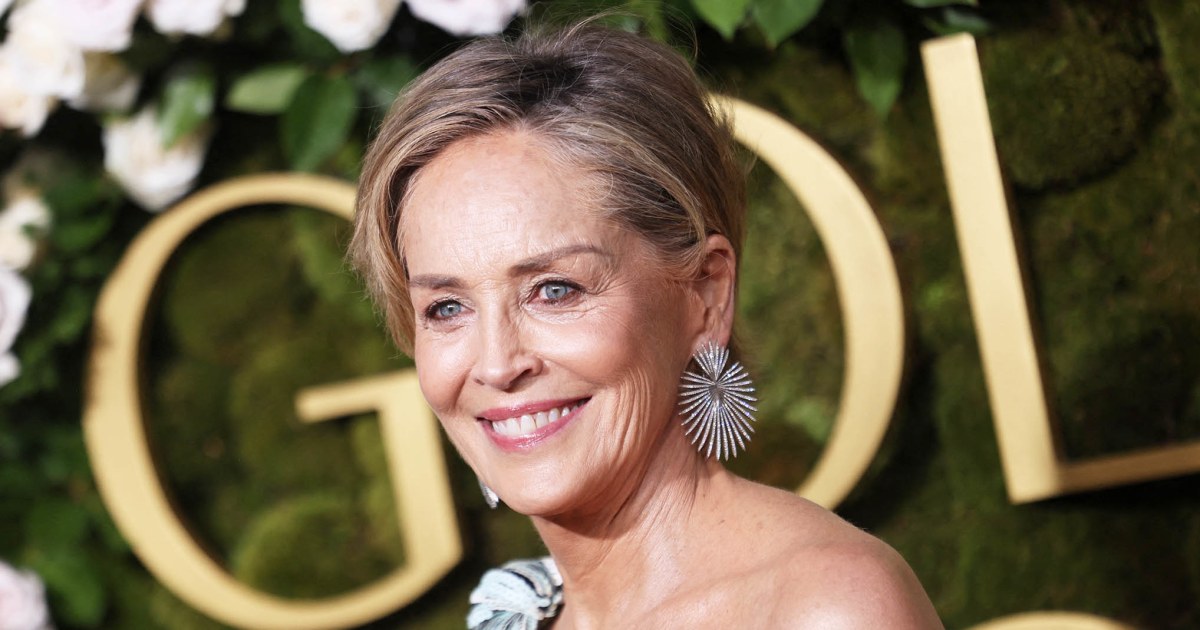 Sharon Stone's 3 Sons Join Her for Rare Red Carpet Photo