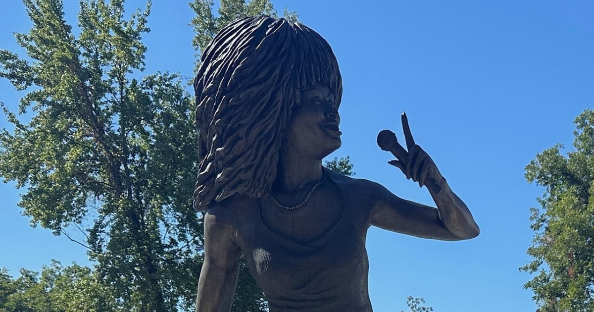 New Tina Turner Statue in Tennessee Sparks Backlash From Fans