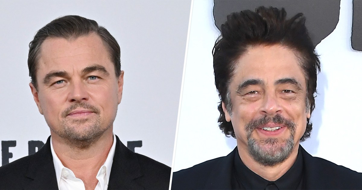 Benicio Del Toro Had to 'Protect' Leonardo DiCaprio in 'One Battle ...