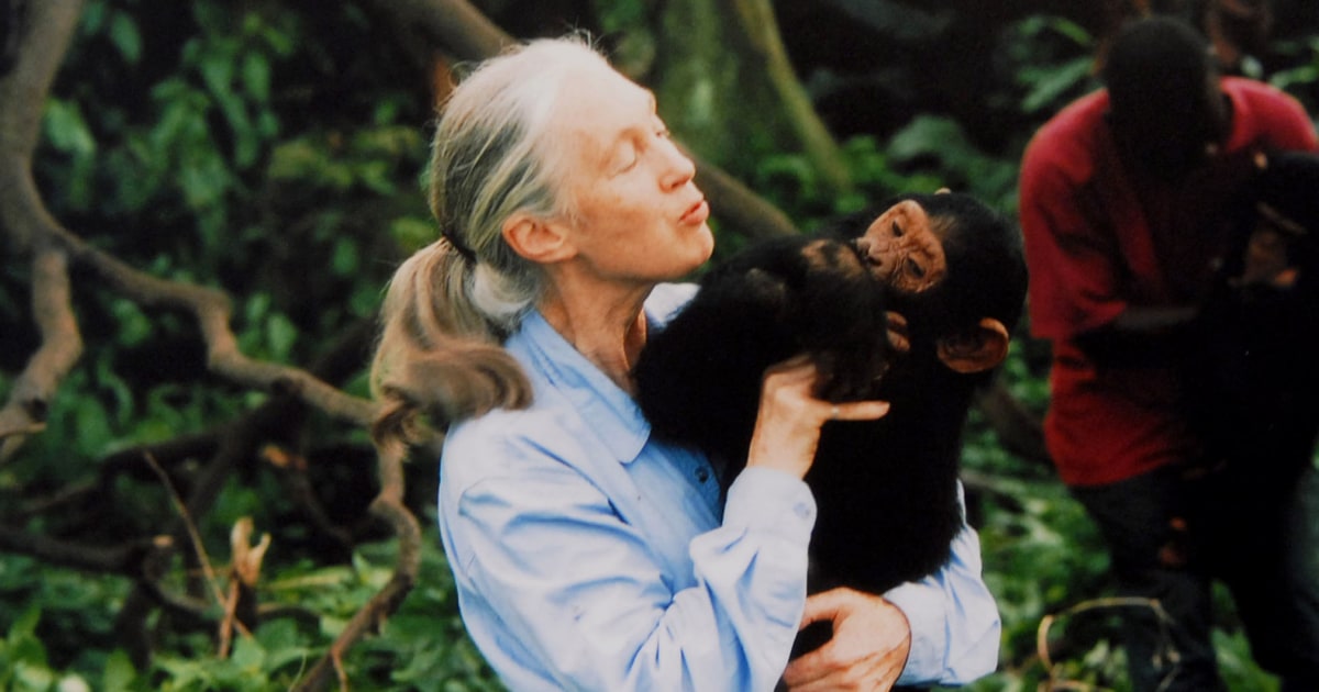 Jane Goodall Dies at Age 91