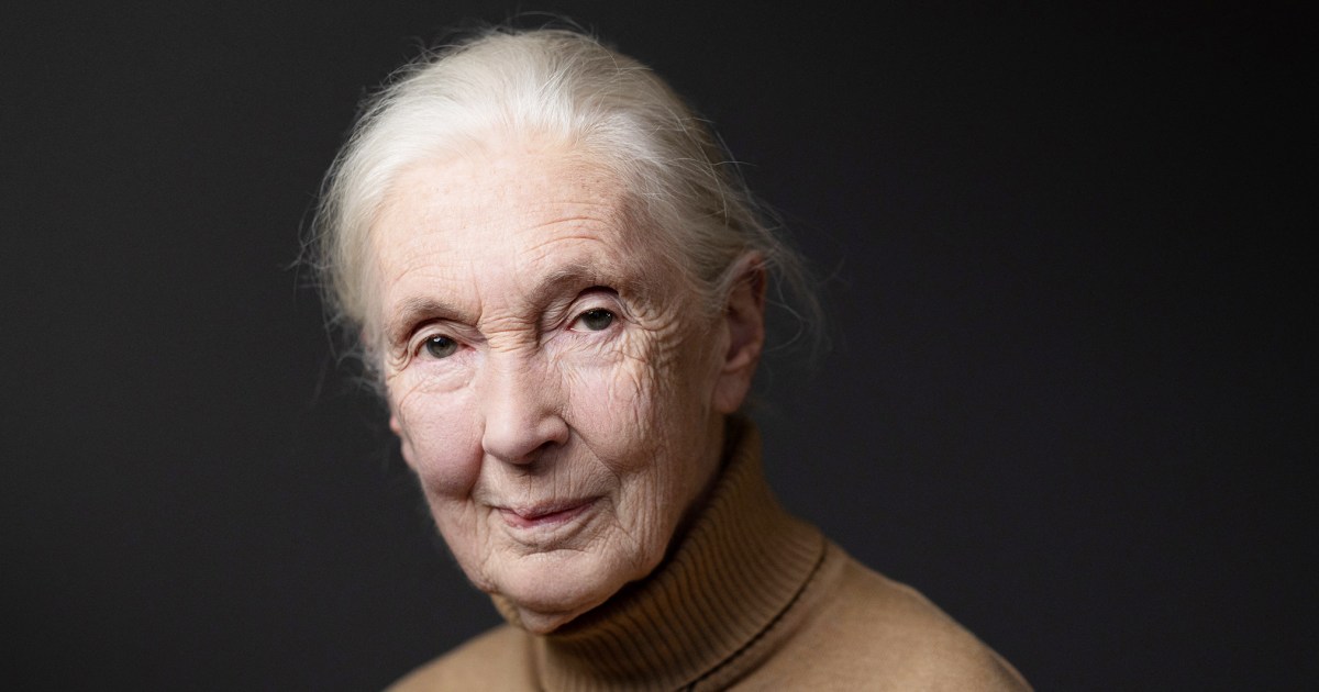 Jane Goodall's Cause of Death Is Natural Causes. What That Means