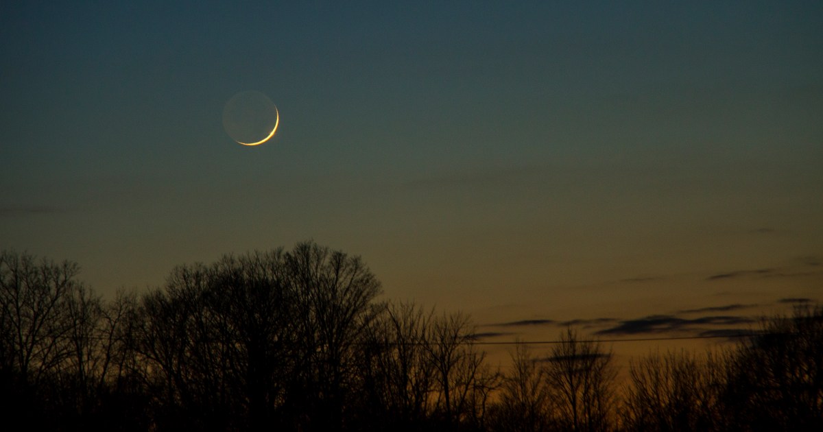 The 4 Signs Most Impacted by November's New Moon in Scorpio