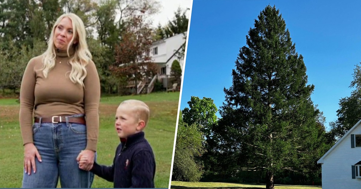 Widow Who Donated Rockefeller Center Christmas Tree Says Husband ...