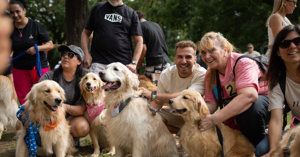 More Than 2,000 Golden Retrievers Gather in Argentina Park