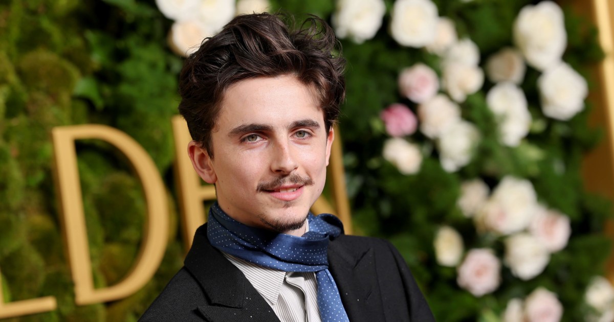 What Did Timothée Chalamet Say About Opera and Ballet?