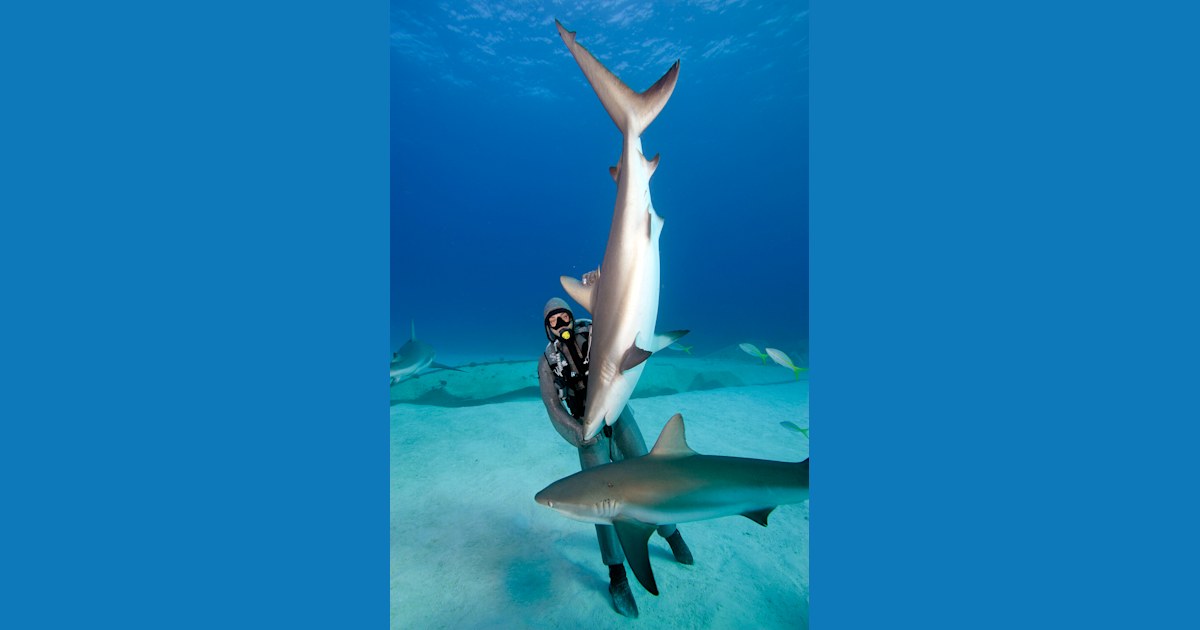 She's got the whole shark in her hand