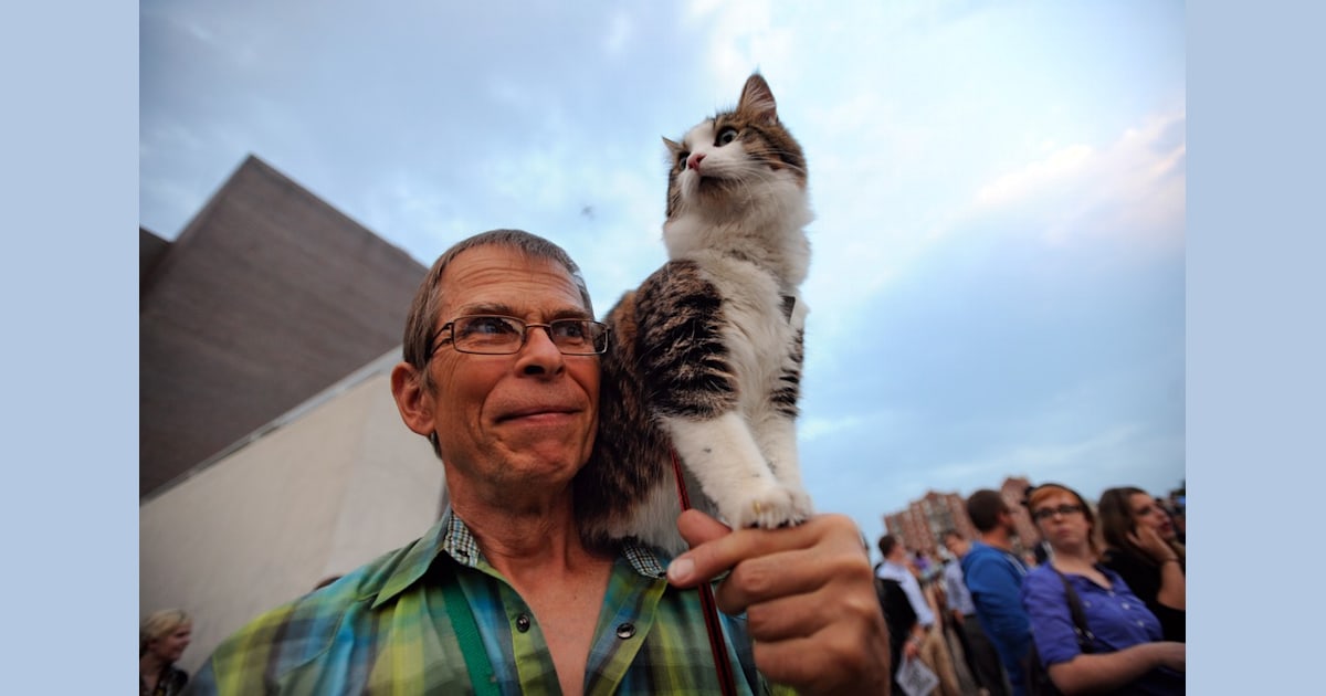 Moviegoers (and their pets) flock to Internet cat video film festival