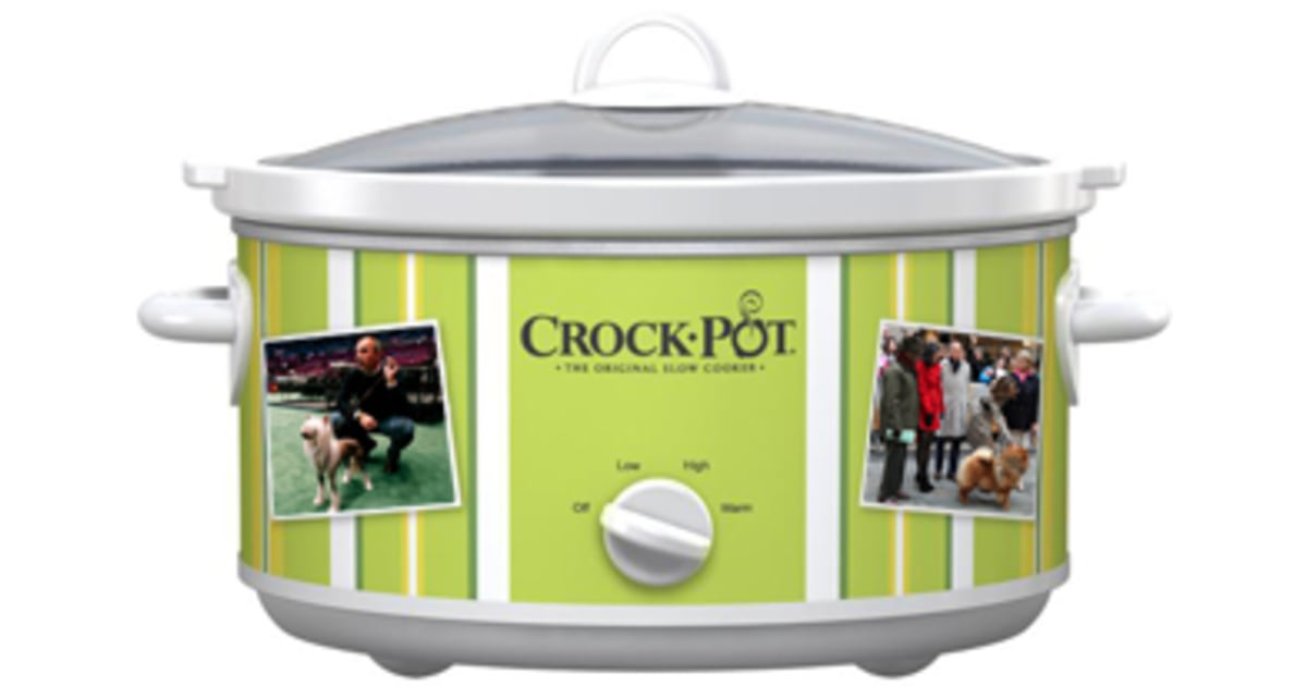 From pet paint to a dog food slow cooker, the wildest pet products of 2012