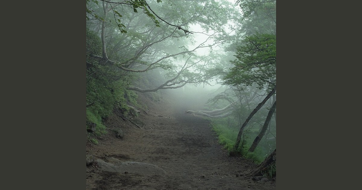 World's most haunted forests spook travelers