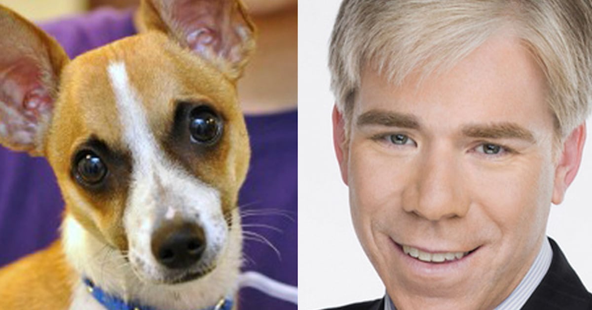 'David Gregory' (the pup) gets a new home -- and a new name