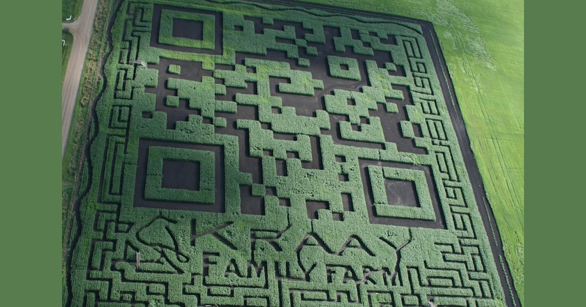 Get lost in these 5 amazing corn mazes