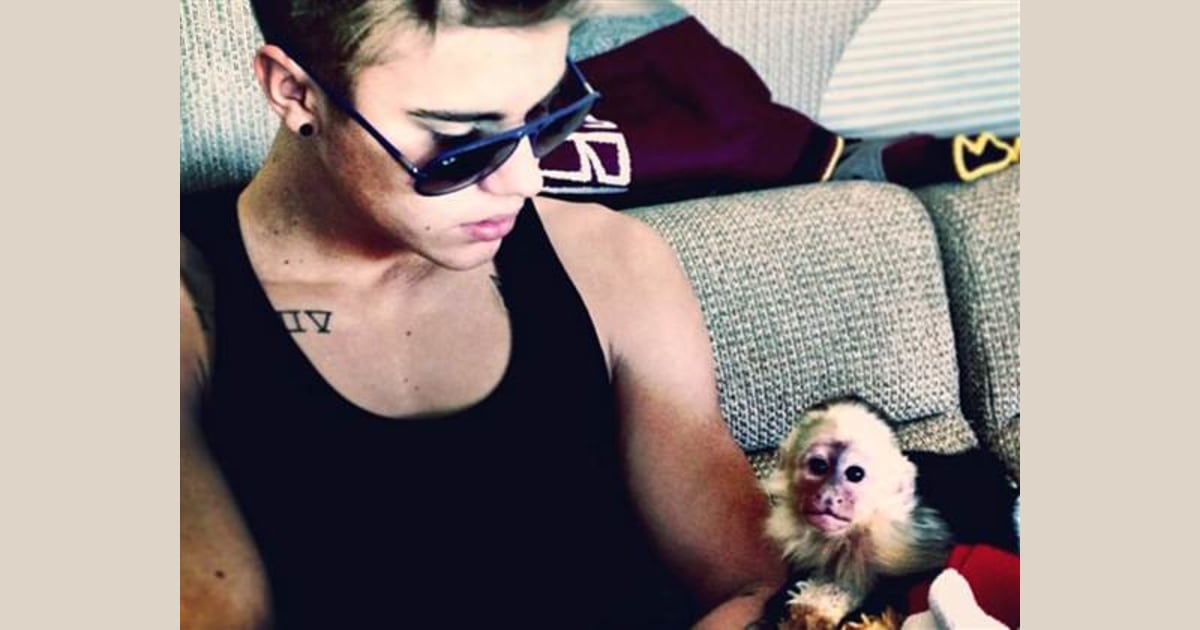Justin Bieber's pet monkey seized in Germany