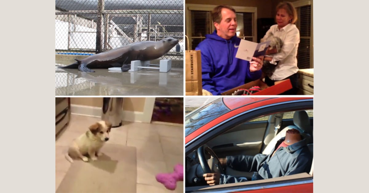 Viral video vote: Headless customer prank, dancing seal, more