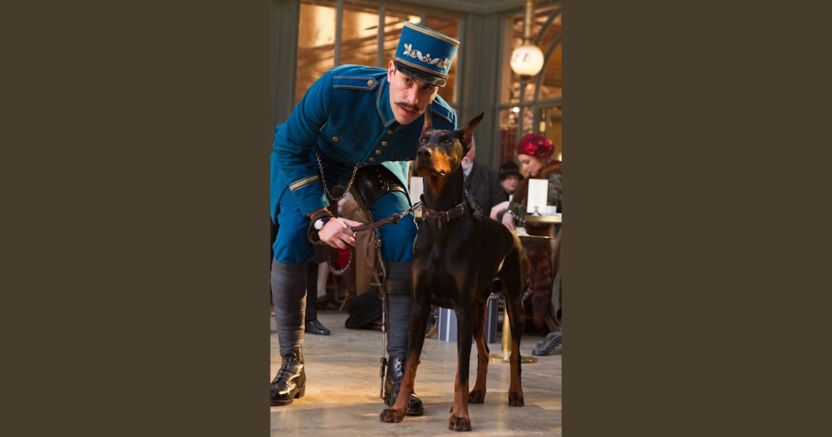 Fur flies in snub of Scorsese 'Hugo' dog