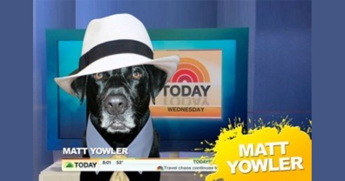 TODAY anchors go to the dogs in playful pup-traits