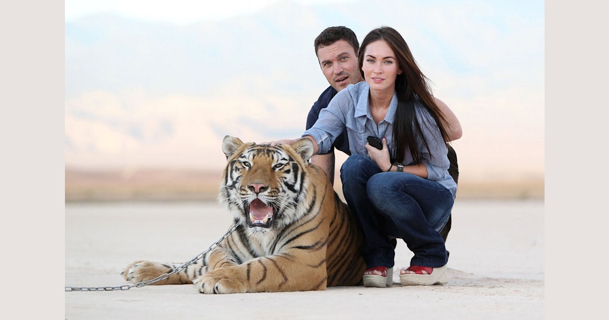 Meow! Megan Fox cozies up to one big cat