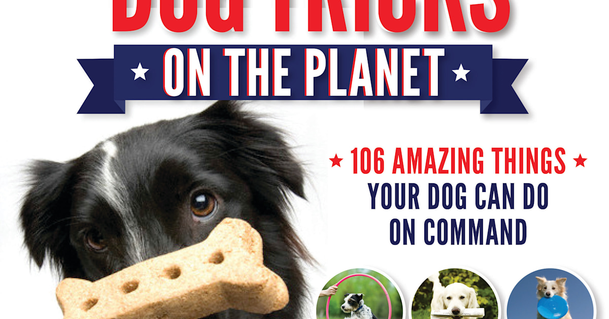 Hone your hound's skills with 'The Best Dog Tricks on the Planet'