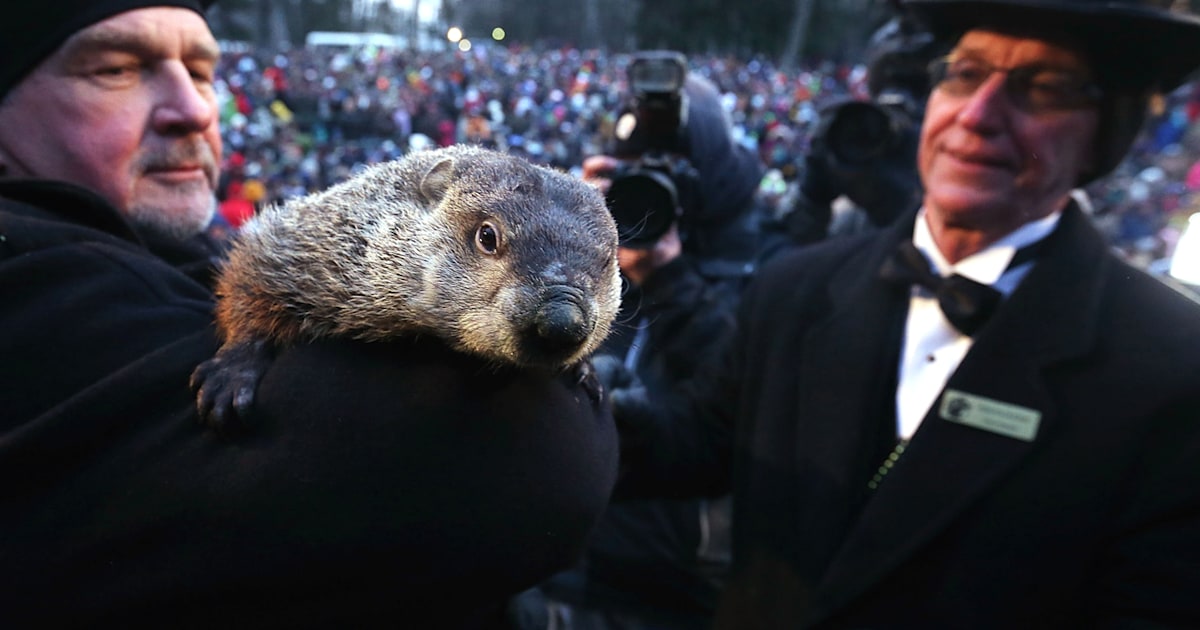 Early spring? The groundhog says...