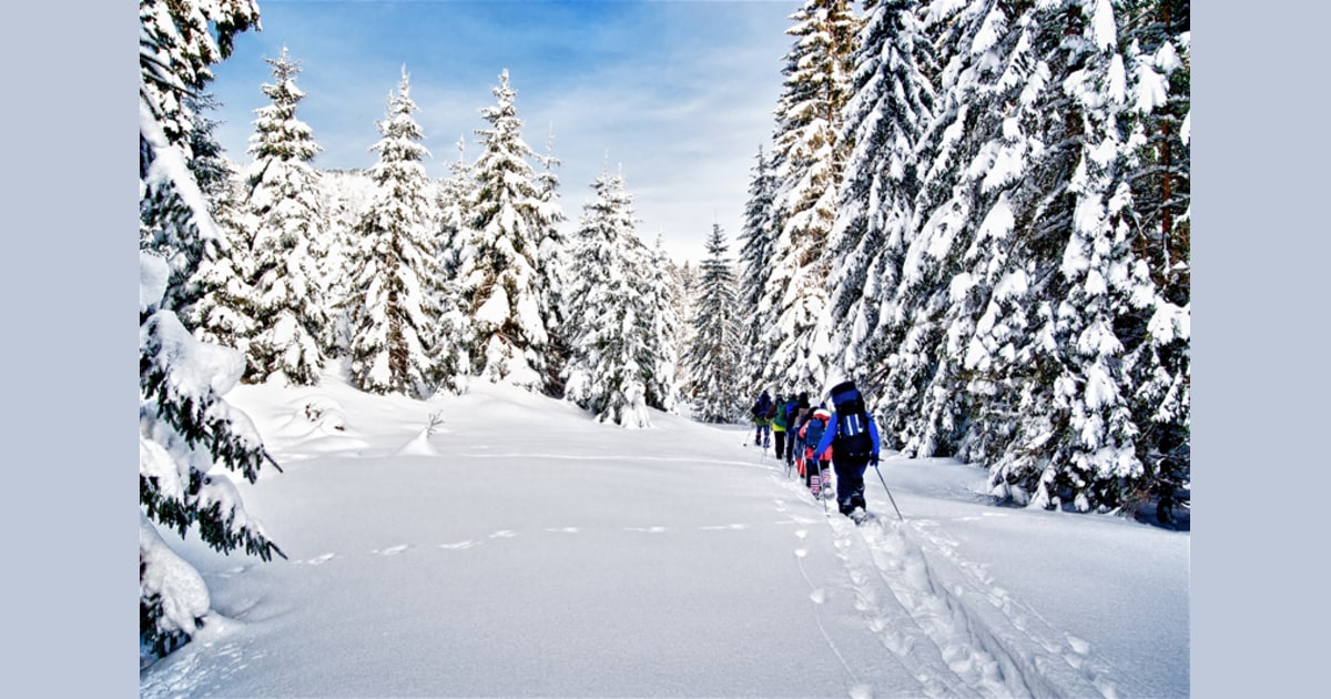 Take a winter hike to boost your creativity