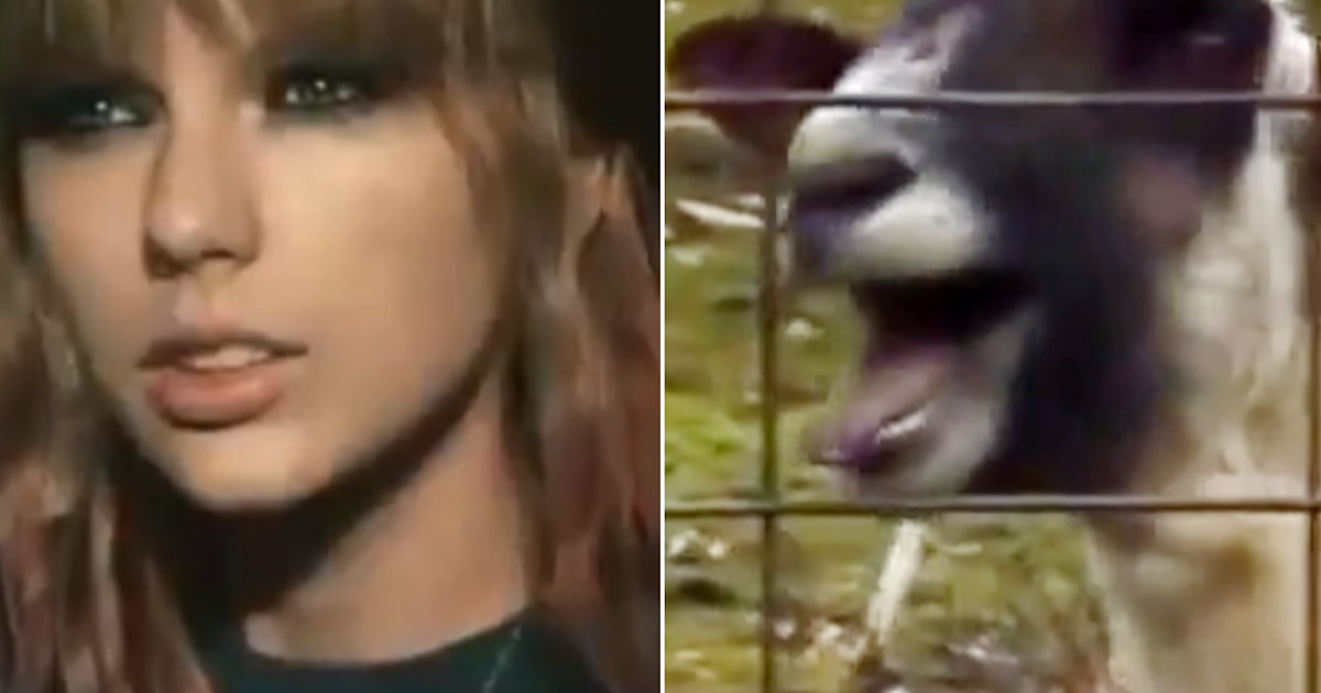 'Goat edition': Bizarre new meme skewers pop favorites