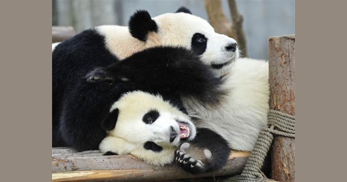 19 of the week's best animal photos