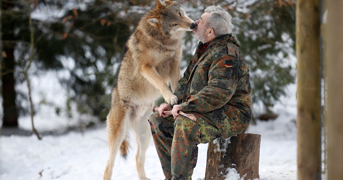 Meet the Wolfman: German lives with wolf pack