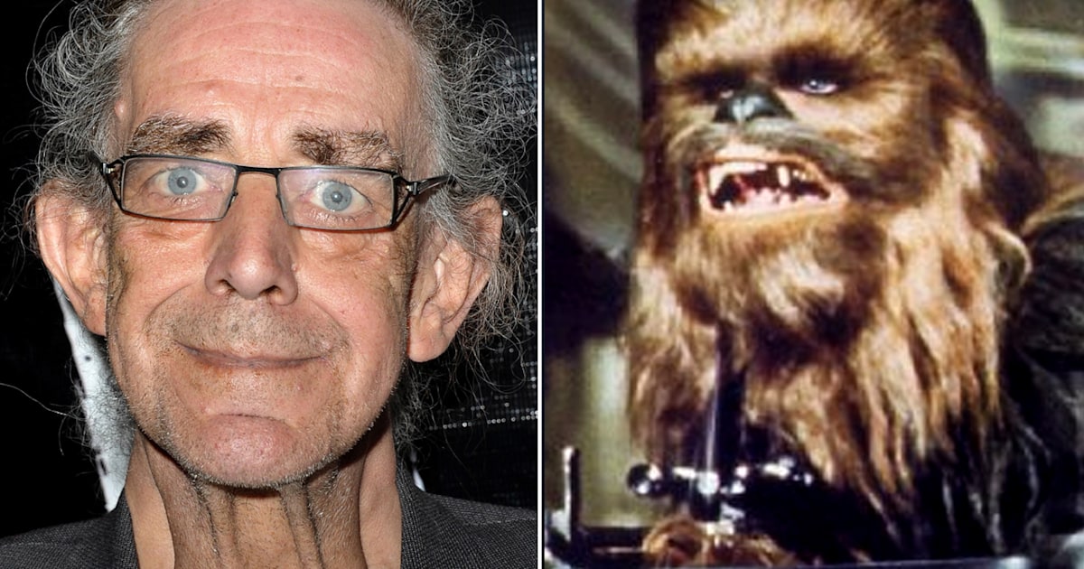 'Star Wars' Chewbacca actor Peter Mayhew detained by TSA for light ...