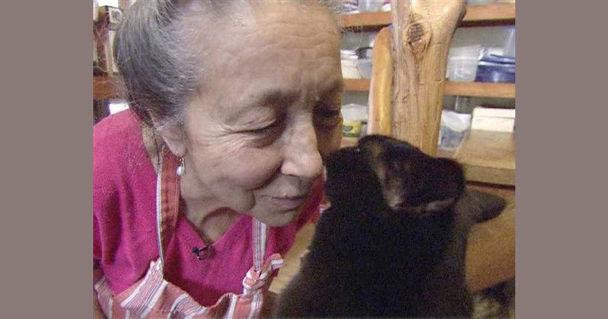 ‘Cat lady’ finds homes for 900 felines