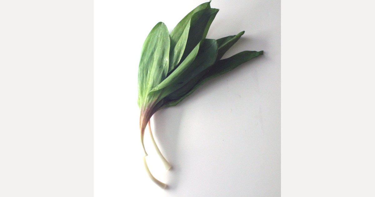 What's that vegetable? The elusive ramp