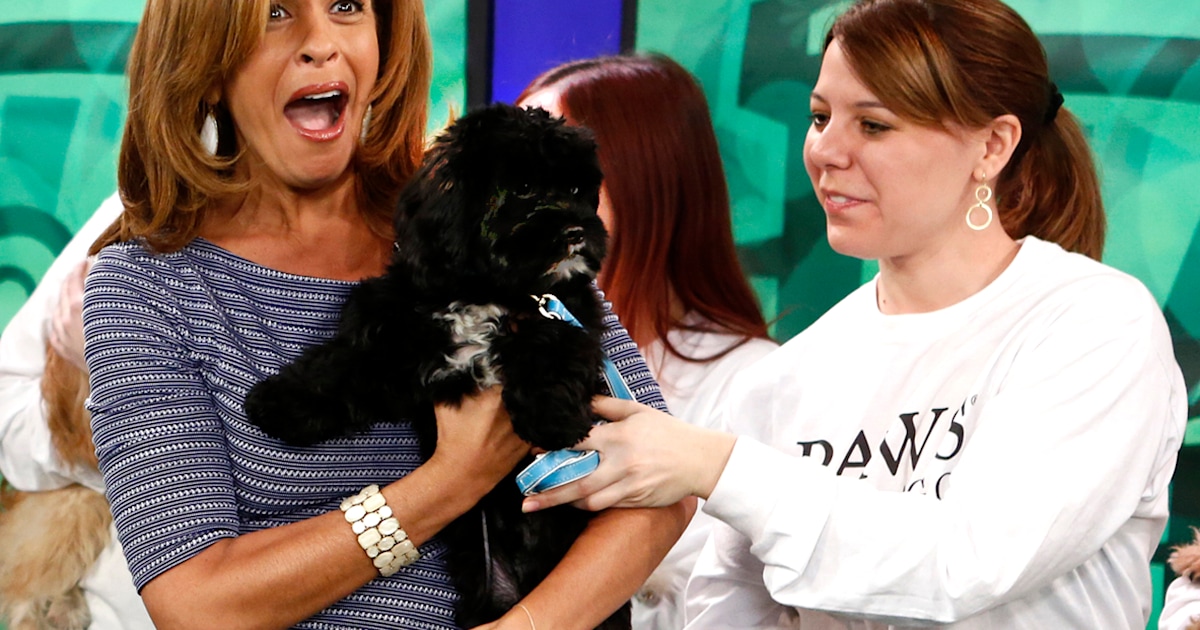 Hoda finally gets a dog — see who she picked!