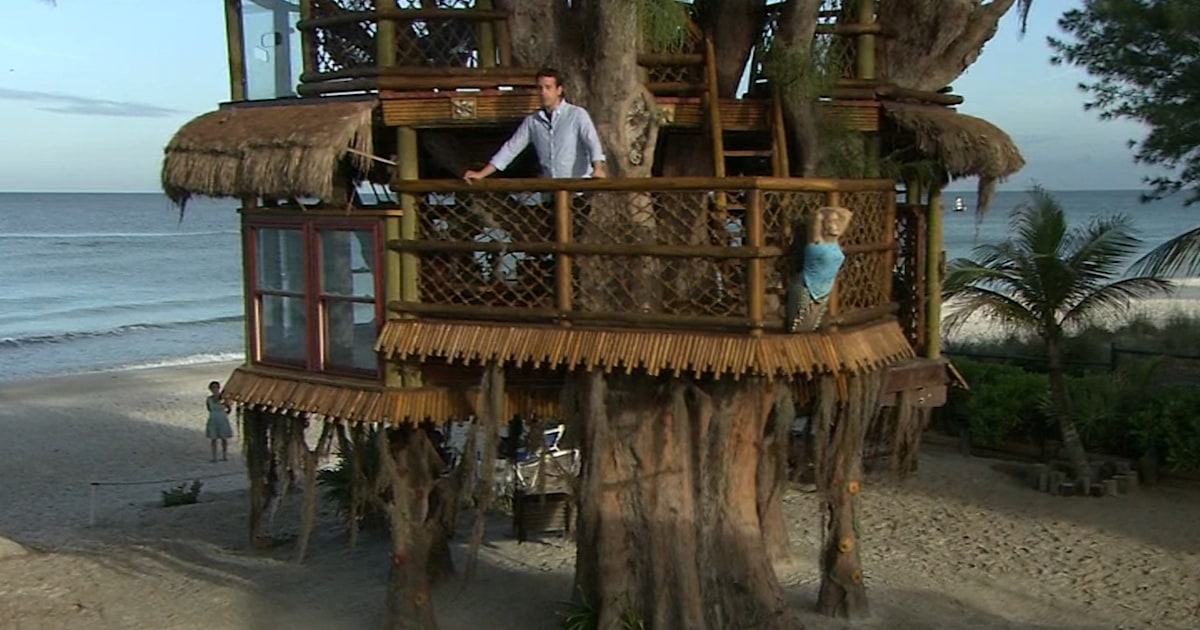 Town says $20,000 treehouse is a hazard, not a haven