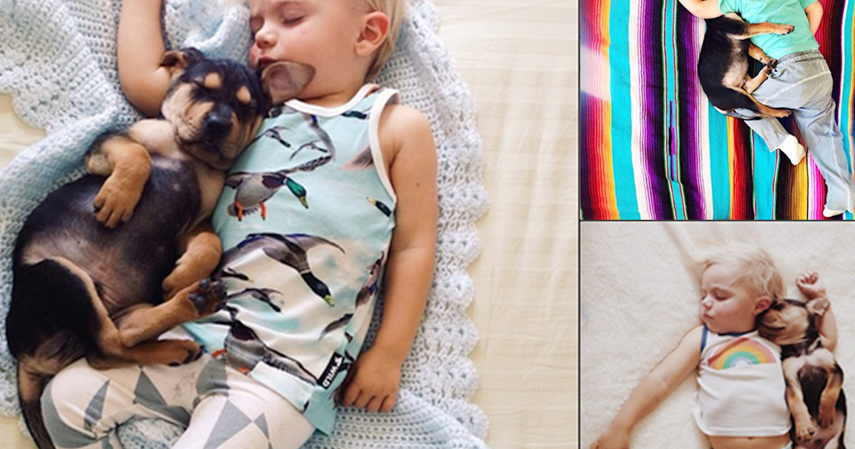 Puppy love: Boy, dog take snuggly naps together