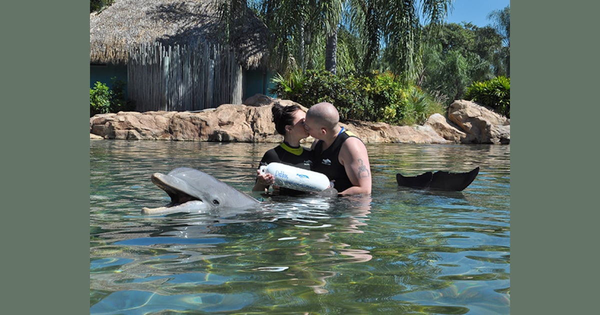 Dolphin proposal goes swimmingly for vacationing couple
