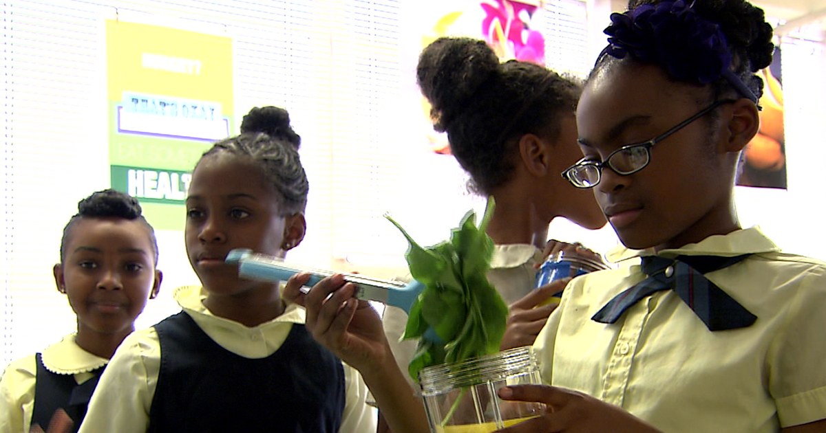 Baltimore school uses smoothie bar to introduce kids to more veggies