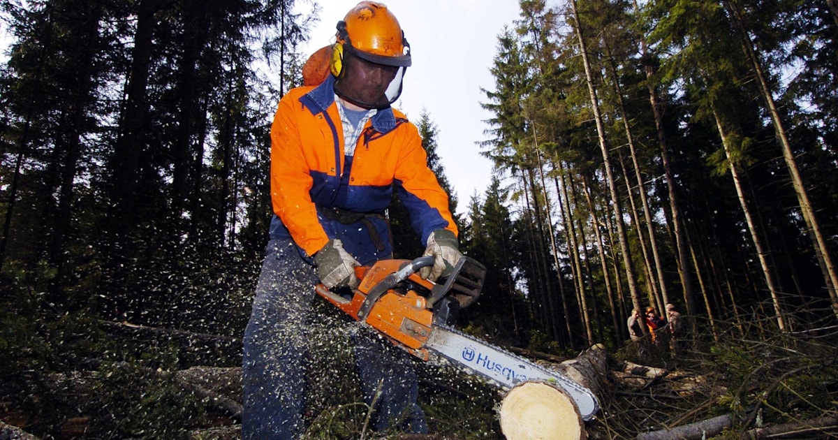 Most endangered jobs for 2014