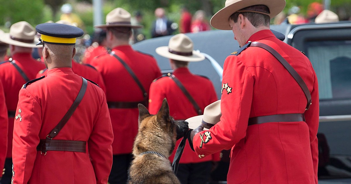 Emotional goodbye: Police dog whimpers at partner's funeral