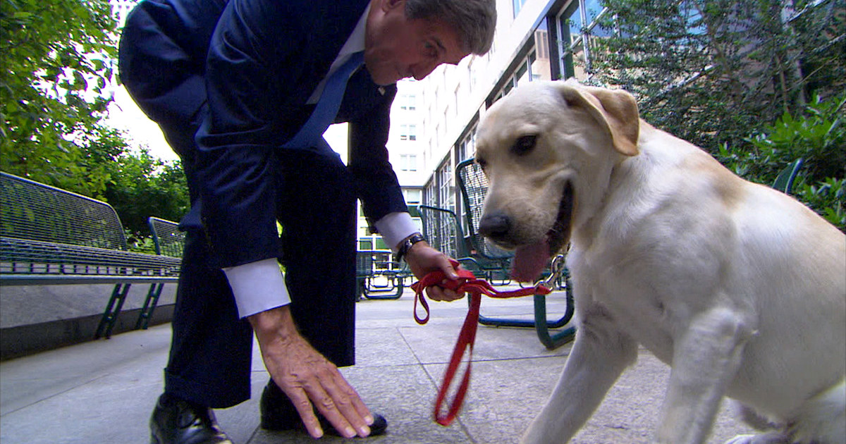 Watch John Kerry's naughty dog refuse to obey during interview: 'This ...