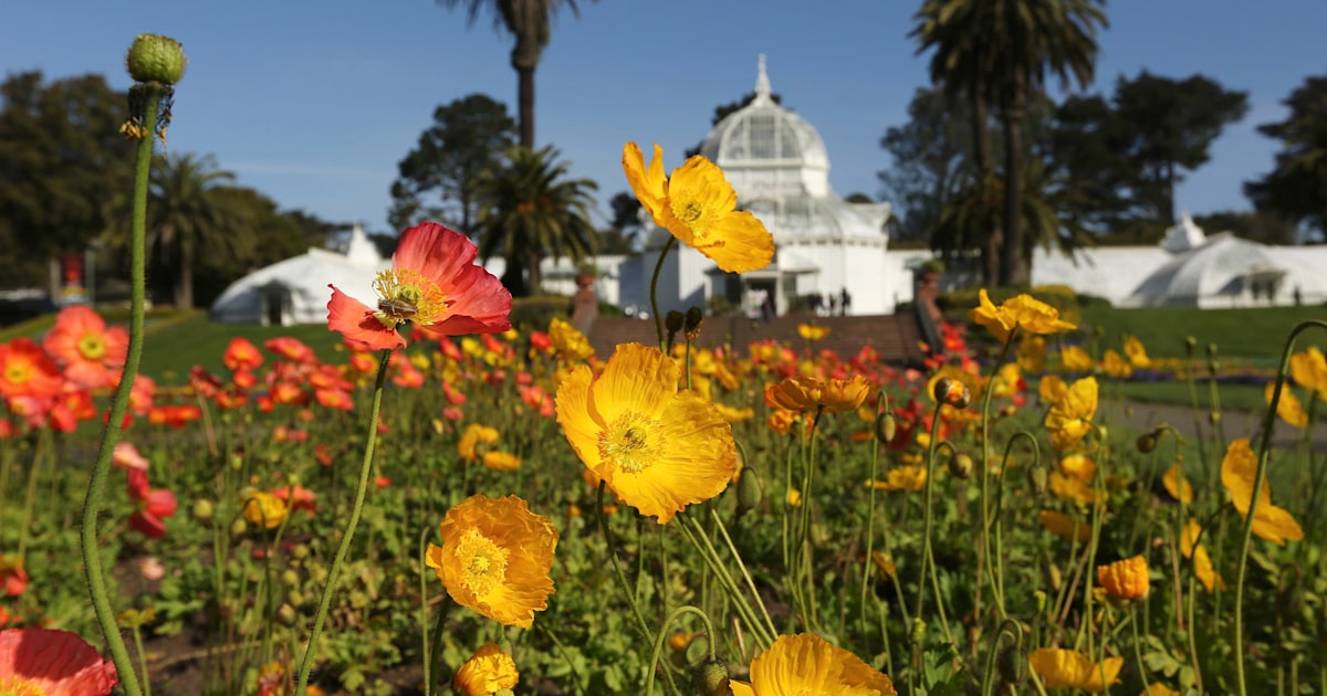 It's spring! Everything is better in the sunshine, according to science