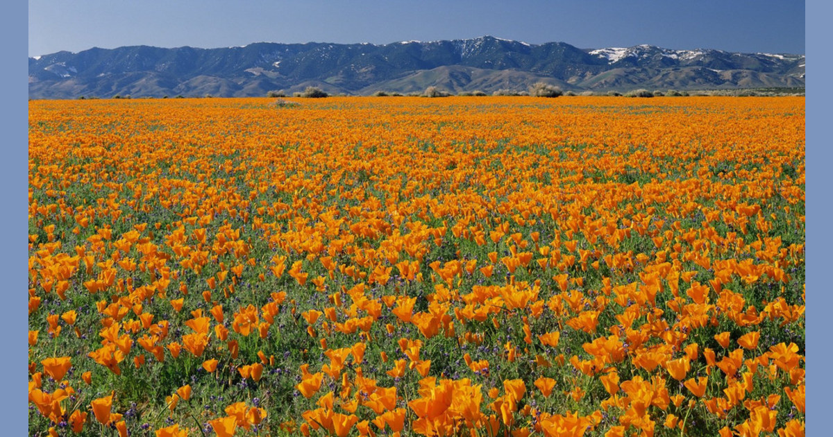 America's best spring drives