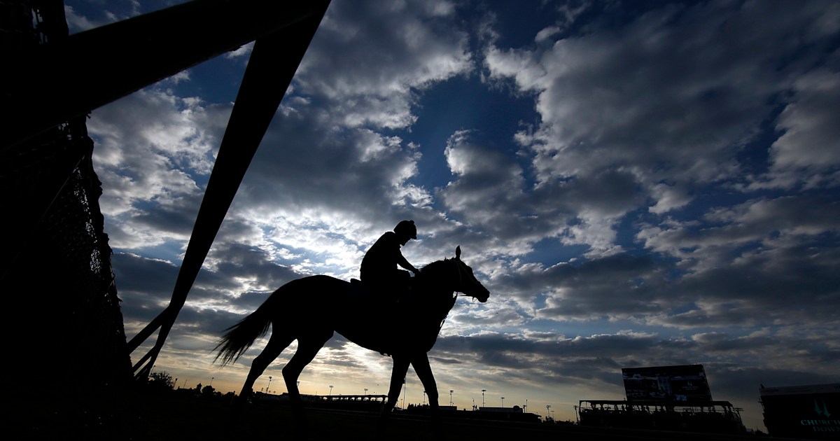 See elegant equines in the bluegrass state and 13 more of the week's ...
