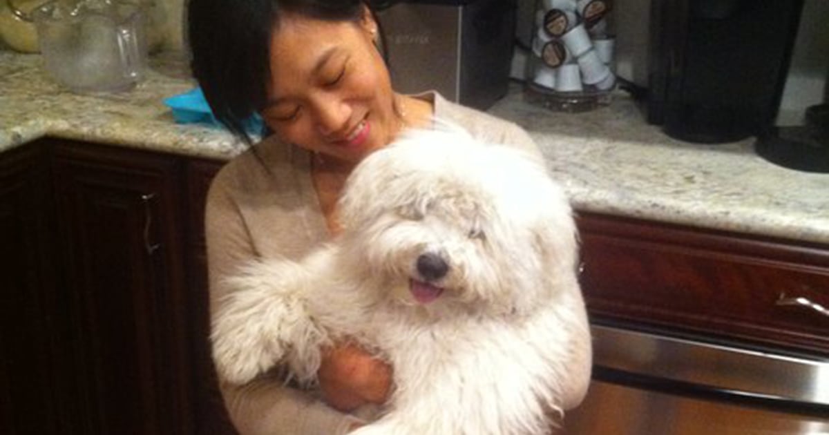 Priscilla Chan says dog Beast is hubby Mark Zuckerberg's No.2 priority ...