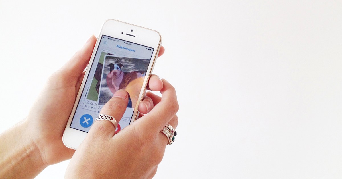 Tinder for dogs? BarkBuddy app matches pet lovers with local rescues