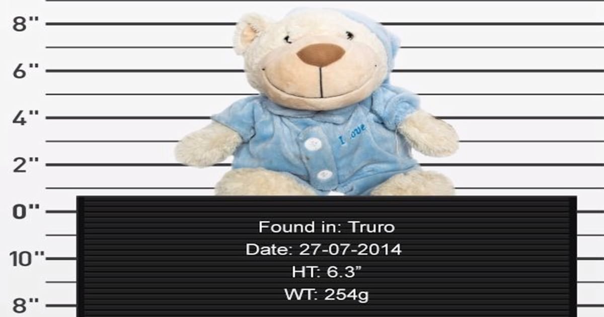 Train company's 'Teddy Rescue' reunites lost toys with owners